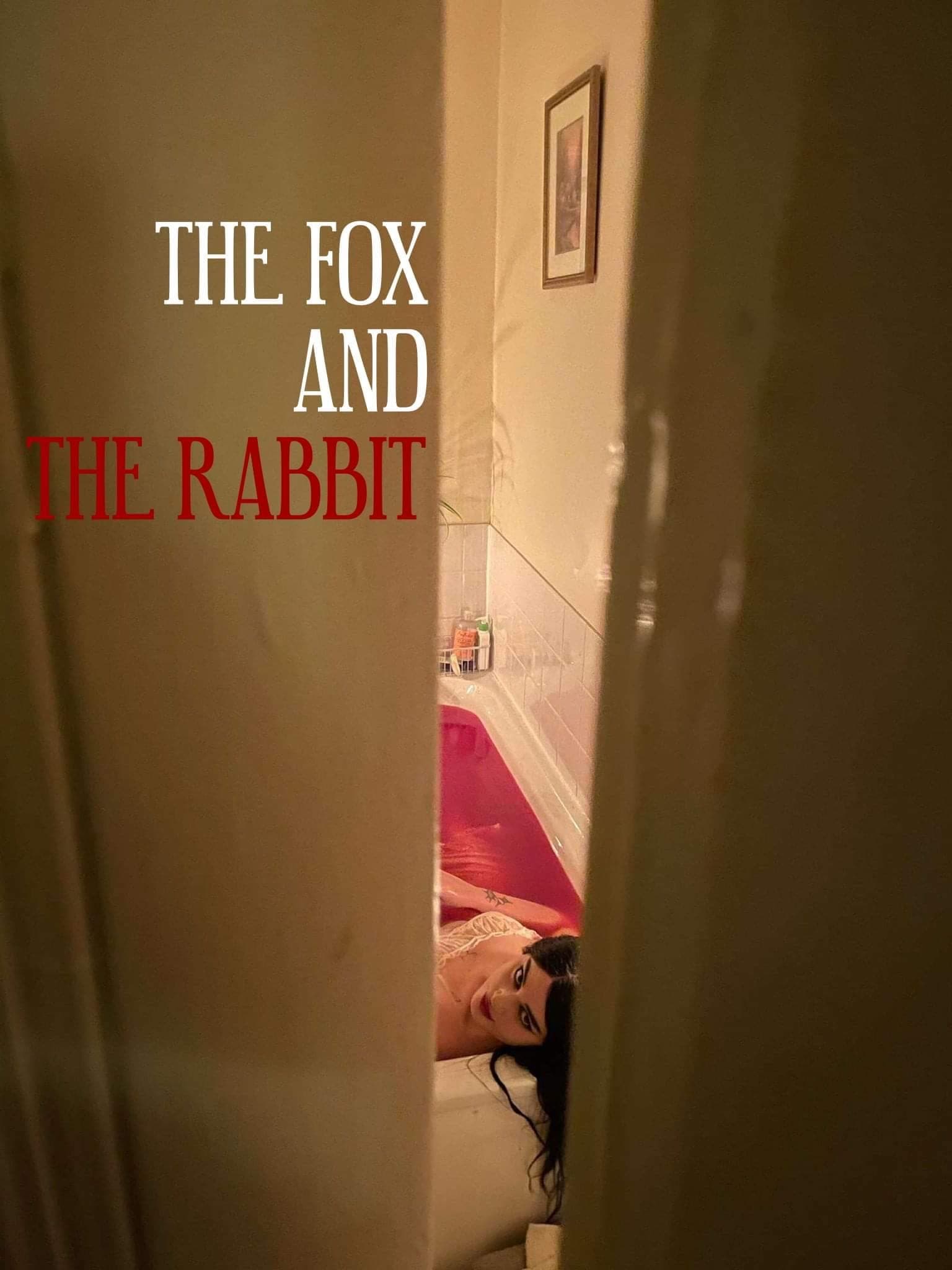 The Fox and The Rabbit Movie Streaming Online Watch