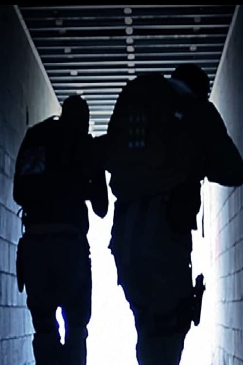 The Division: Outliers Movie Streaming Online Watch