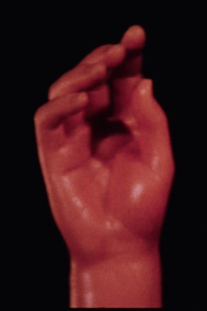 Cartoons: The Central Finger Movie Streaming Online Watch