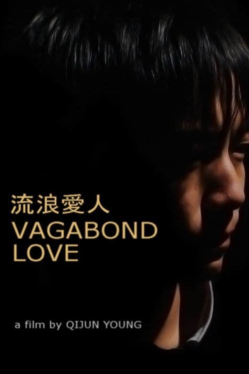 Vagabond Love Mandarin Movie Streaming Online Watch