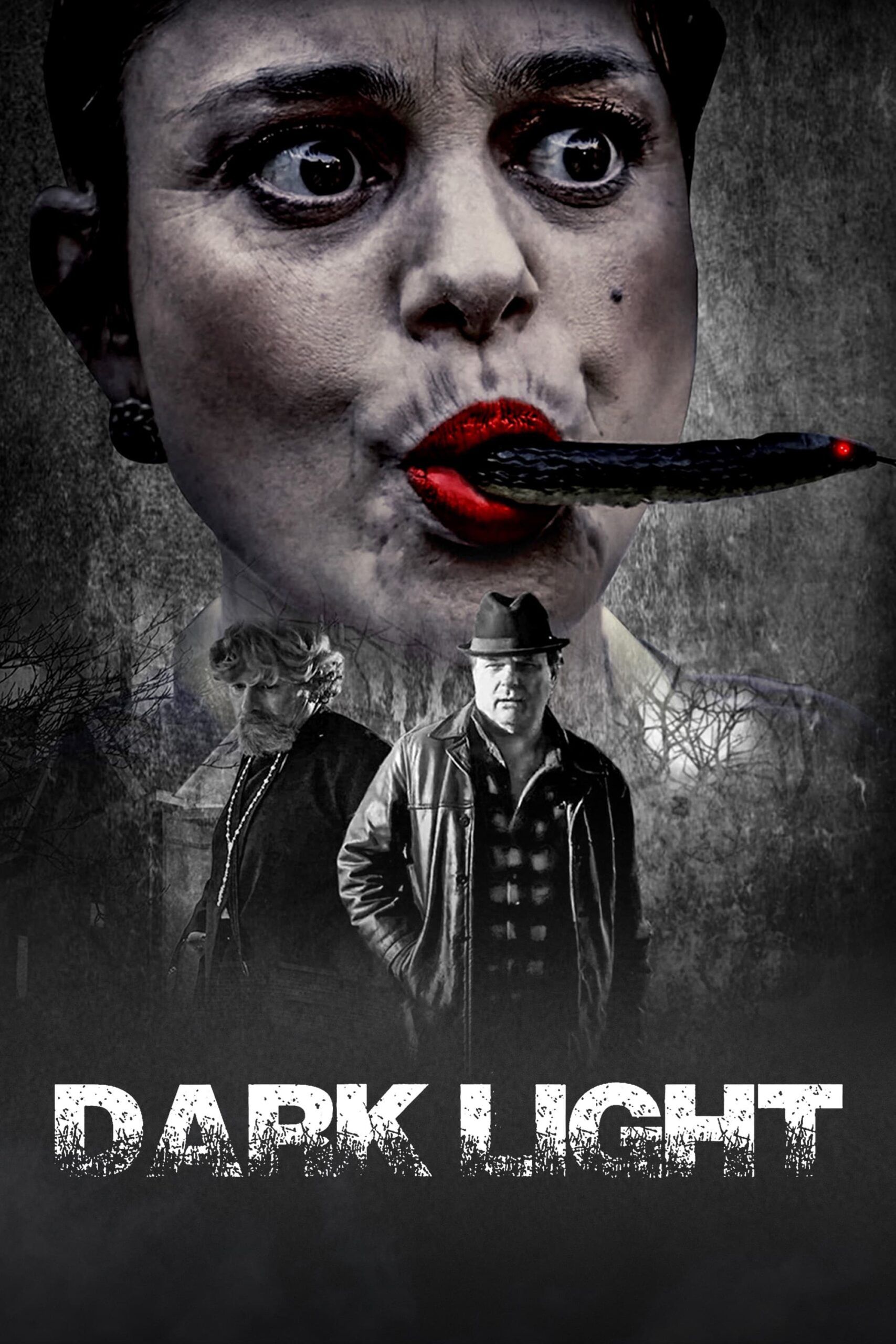 Dark Light Movie Streaming Online Watch