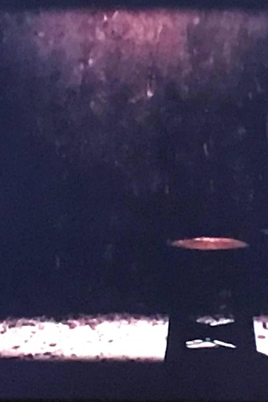 CHAIR / SCREEN Movie Streaming Online Watch