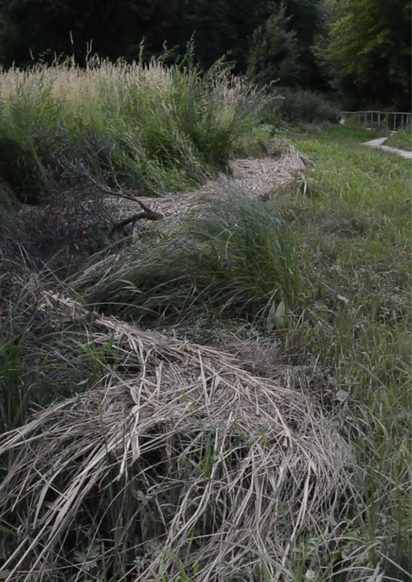 KD's parable Movie Streaming Online Watch