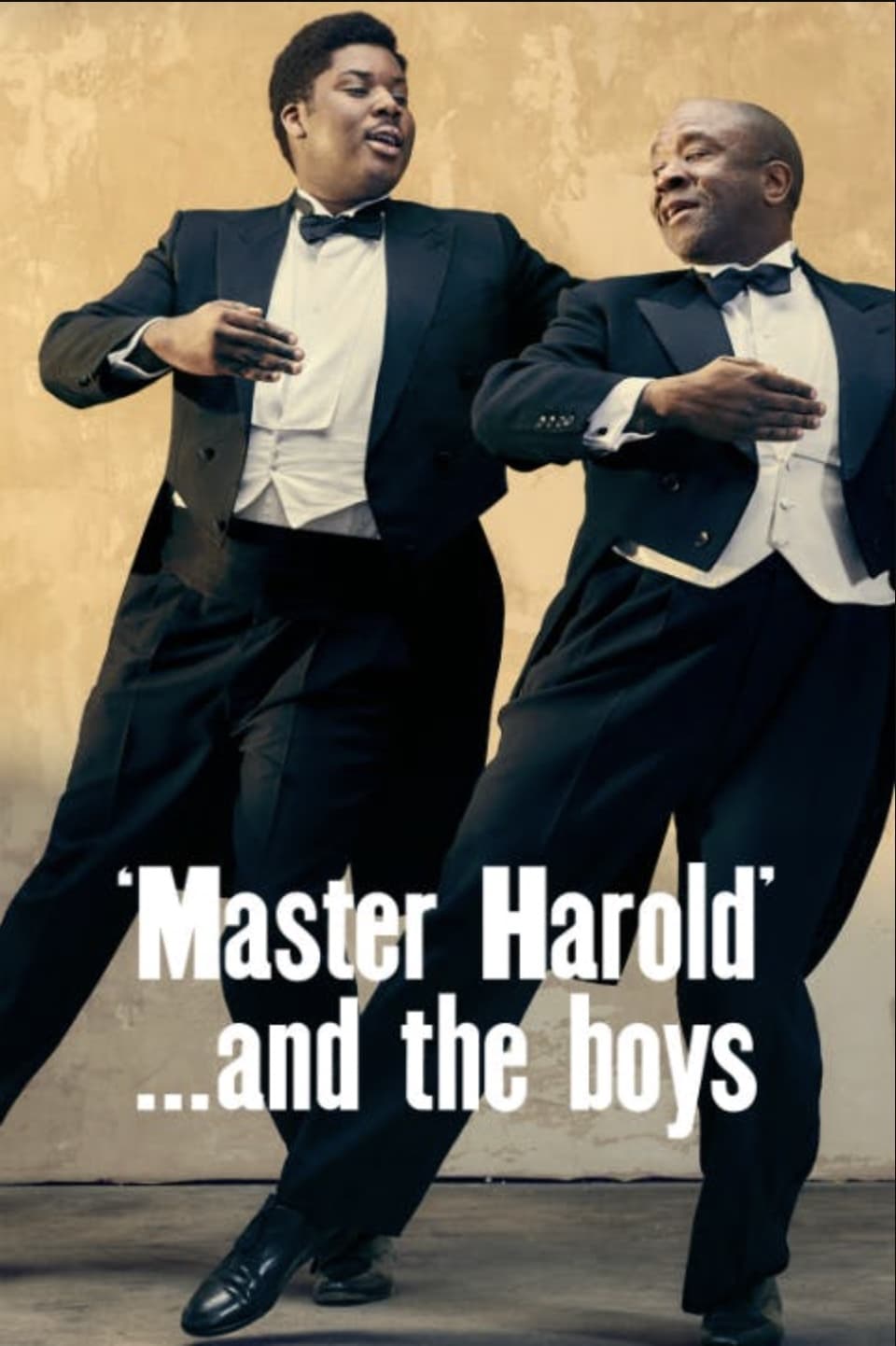 National Theatre: 'Master Harold’… and the boys Movie Streaming Online ...