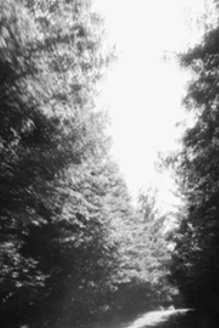 Parallel North Movie Streaming Online Watch