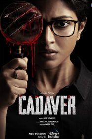 Movie and TV Show Reviews, Ratings and Where to Watch | Binged