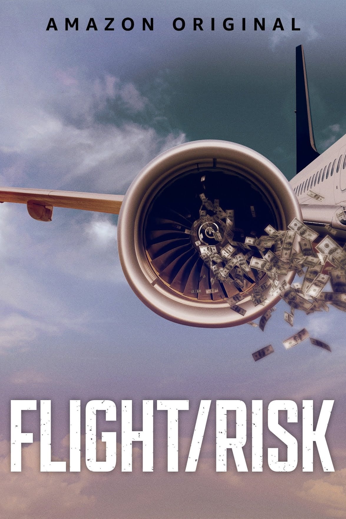 Flight/Risk Movie Streaming Online Watch on Amazon