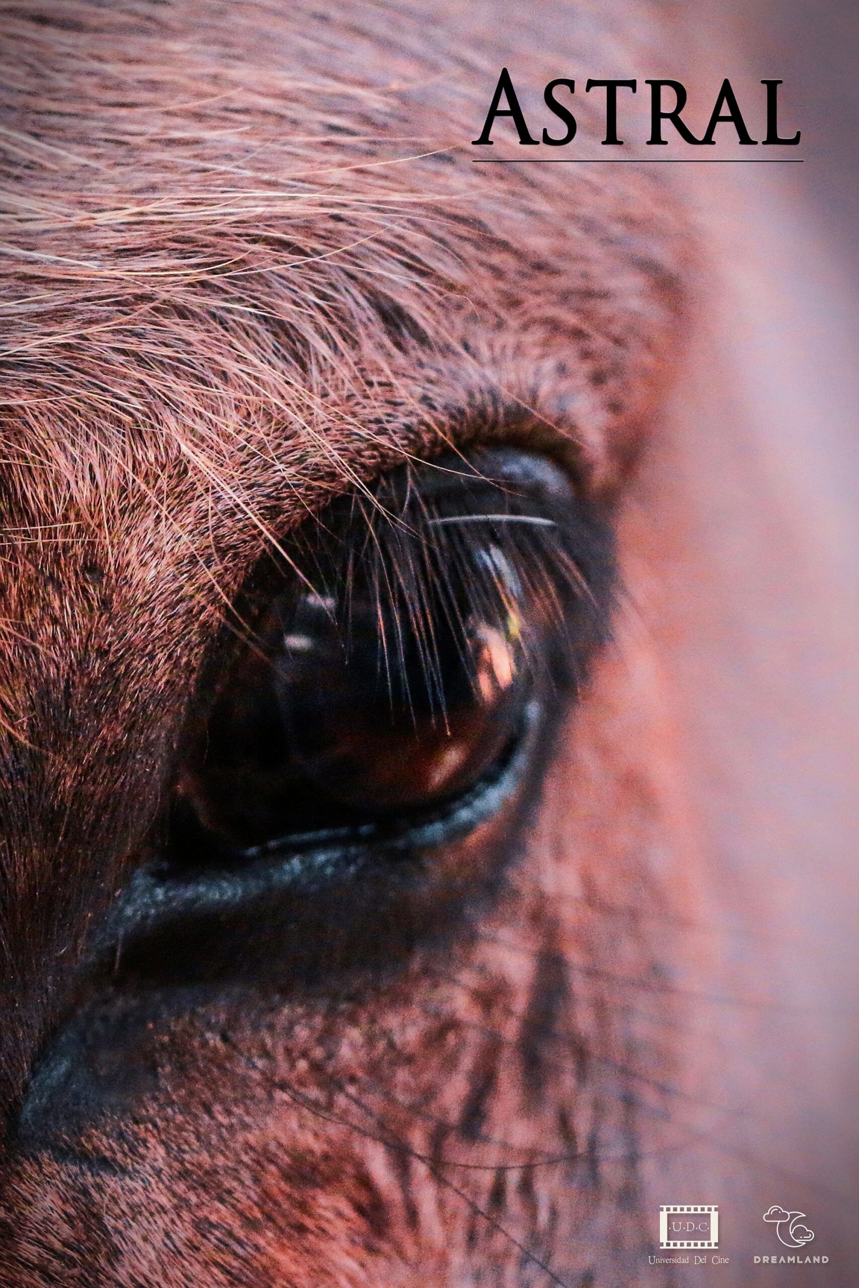 Astral Spanish Movie Streaming Online Watch