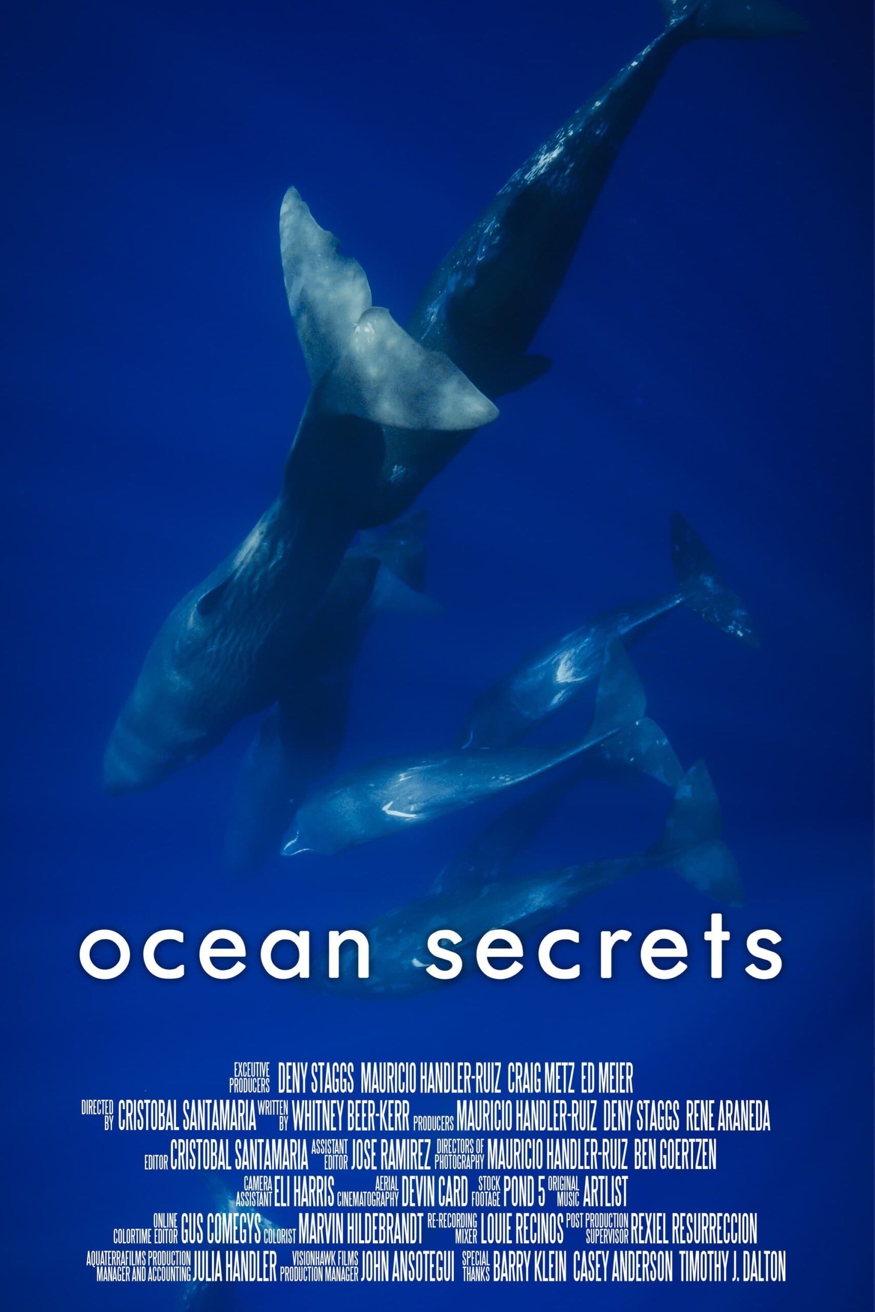 Ocean Secrets Movie Streaming Online Watch