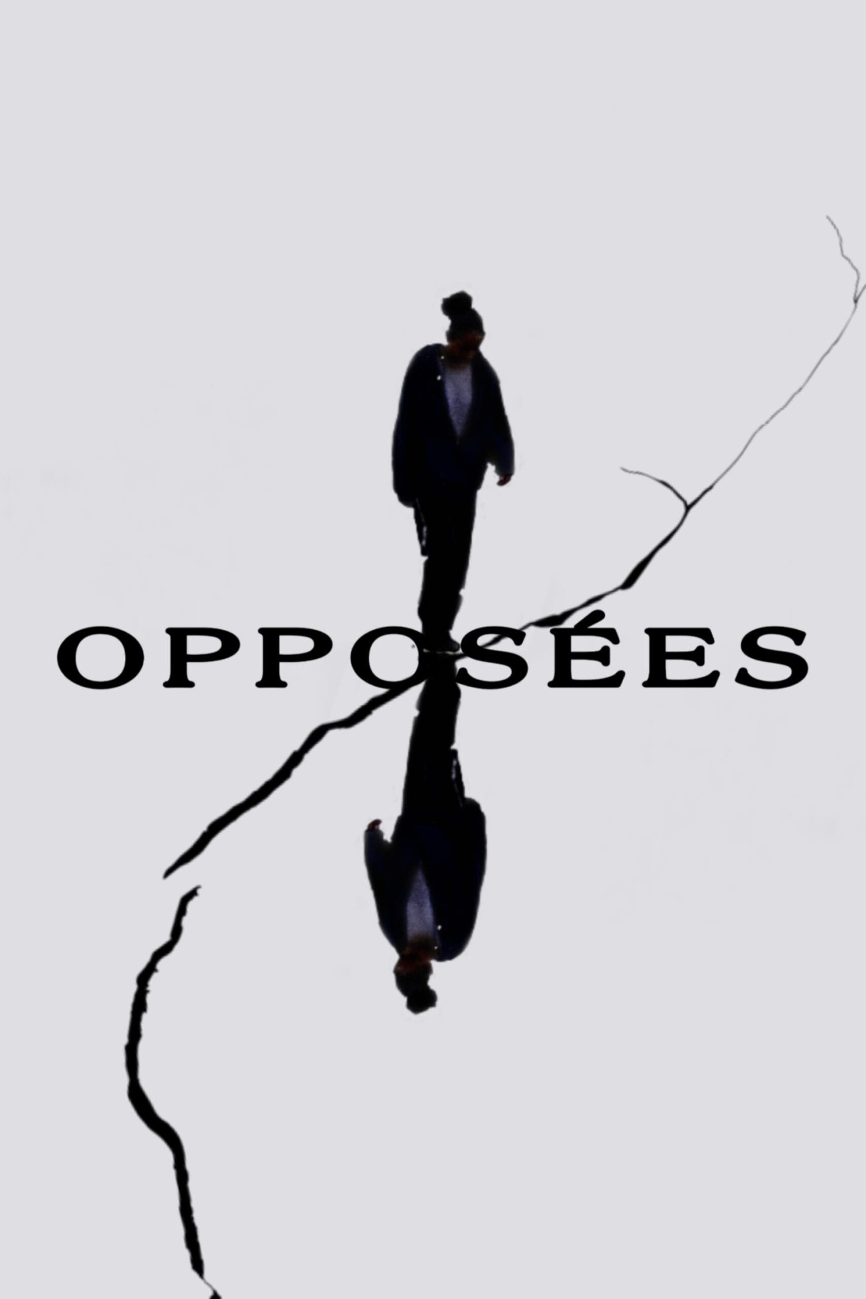 Opposites French Movie Streaming Online Watch