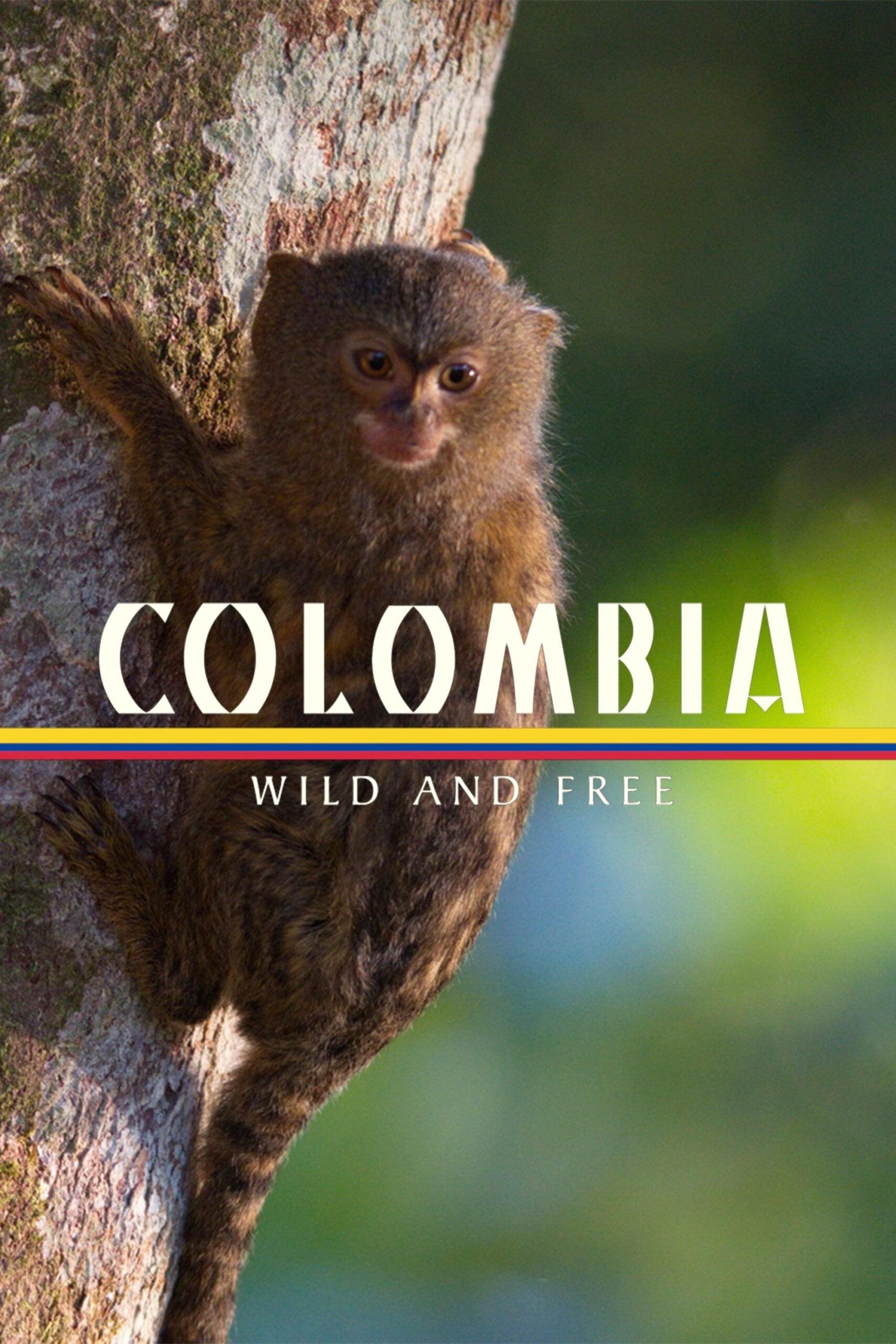 Colombia - Wild and Free Web Series Streaming Online Watch