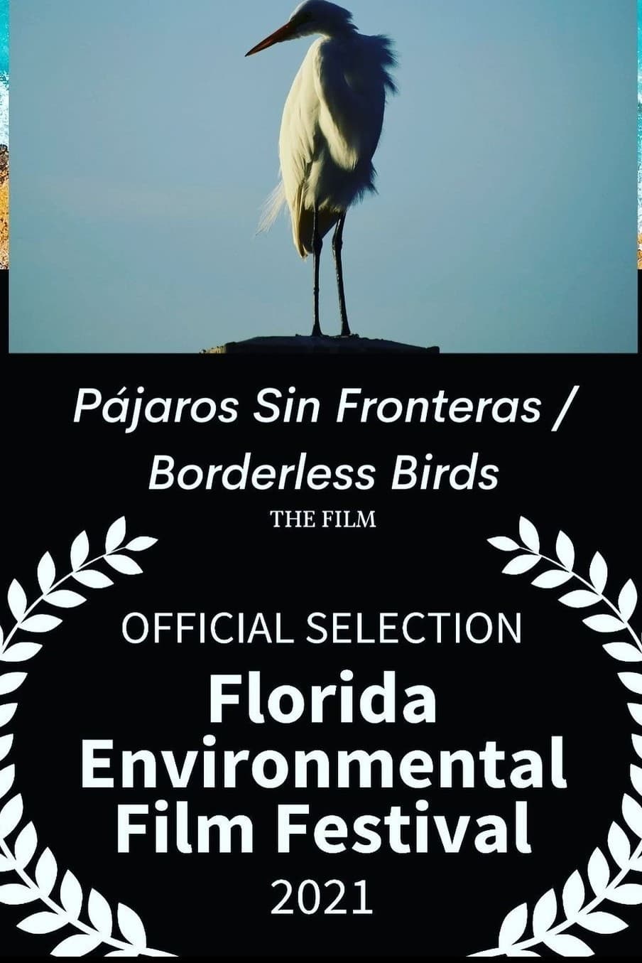 Borderless Birds Spanish Movie Streaming Online Watch