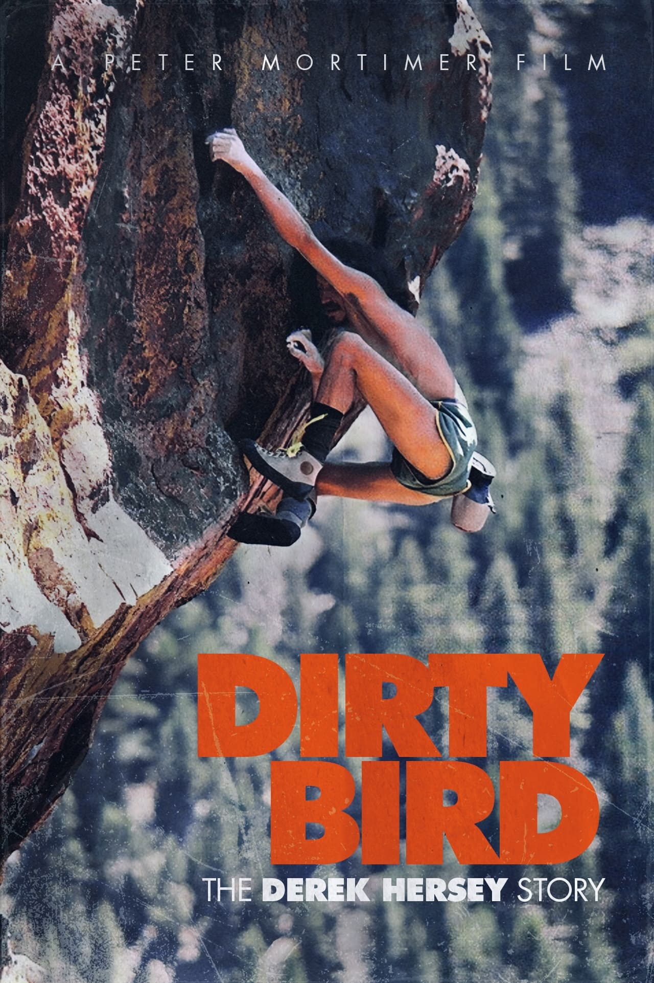 Dirty Bird, The Derek Hersey Story Movie Streaming Online Watch