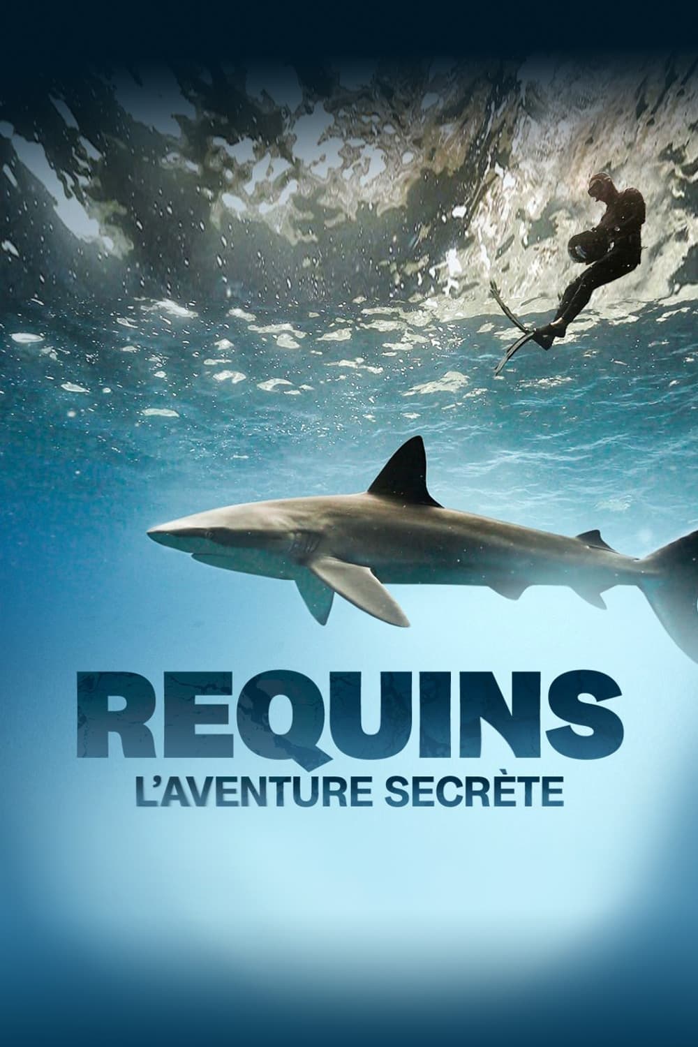 Requins, l'aventure secrète French Movie Streaming Online Watch