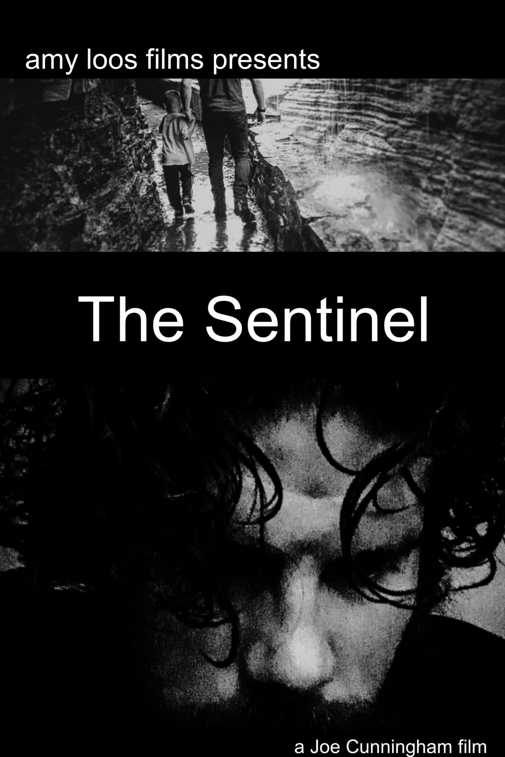 The Sentinel Movie Streaming Online Watch