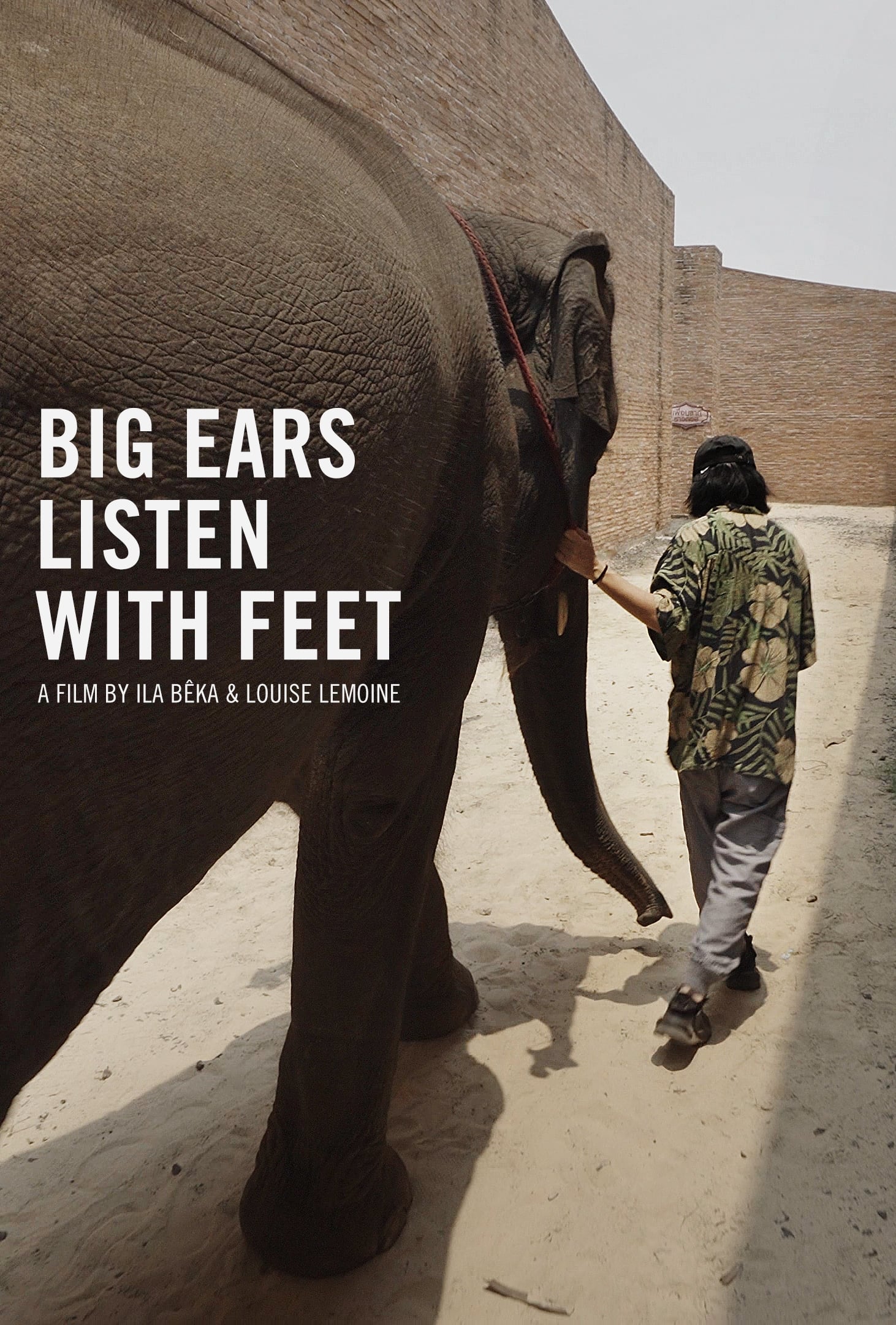 Big ears Listen with Feet Movie Streaming Online Watch