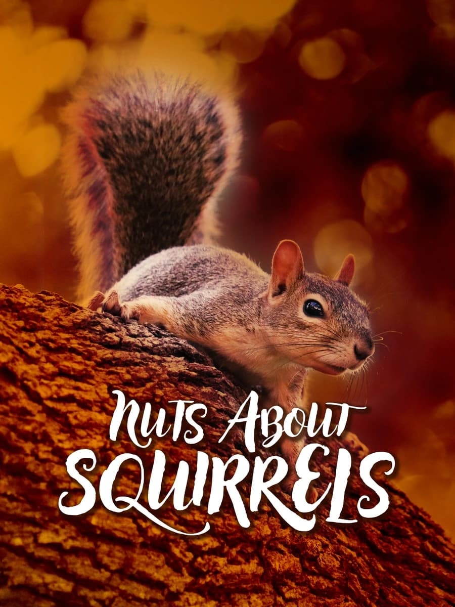 Nuts About Squirrels Movie Streaming Online Watch