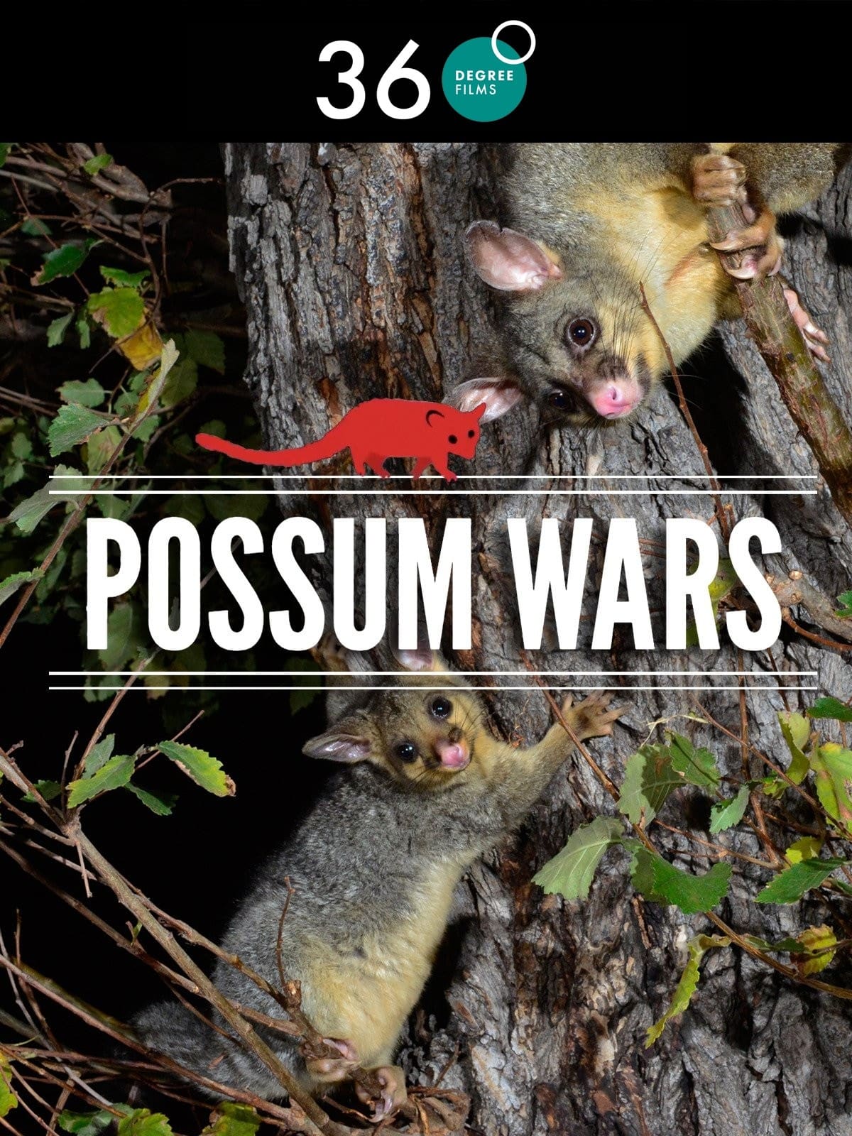 Possum Wars Movie Streaming Online Watch