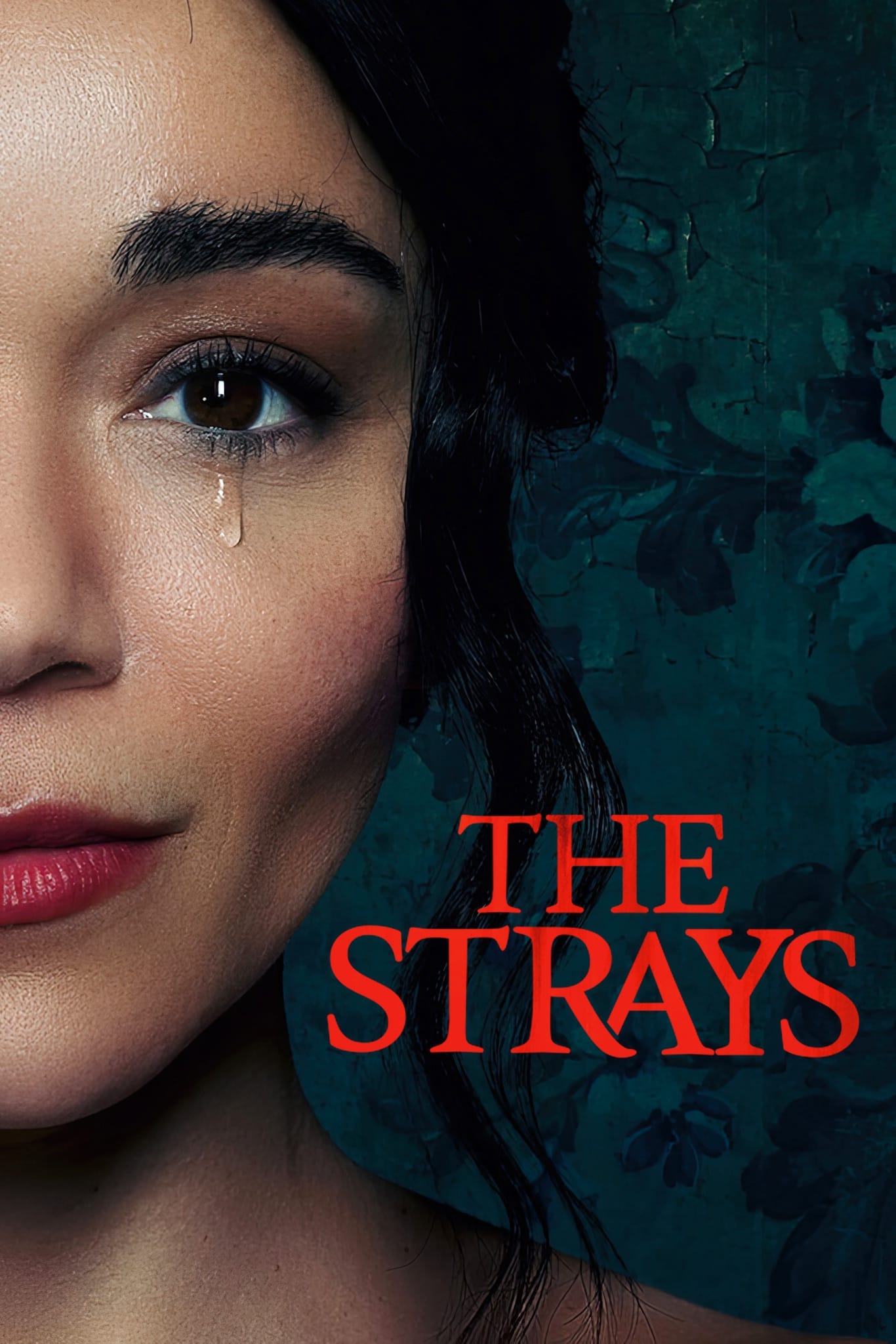 The Strays Movie Streaming Online Watch on Netflix