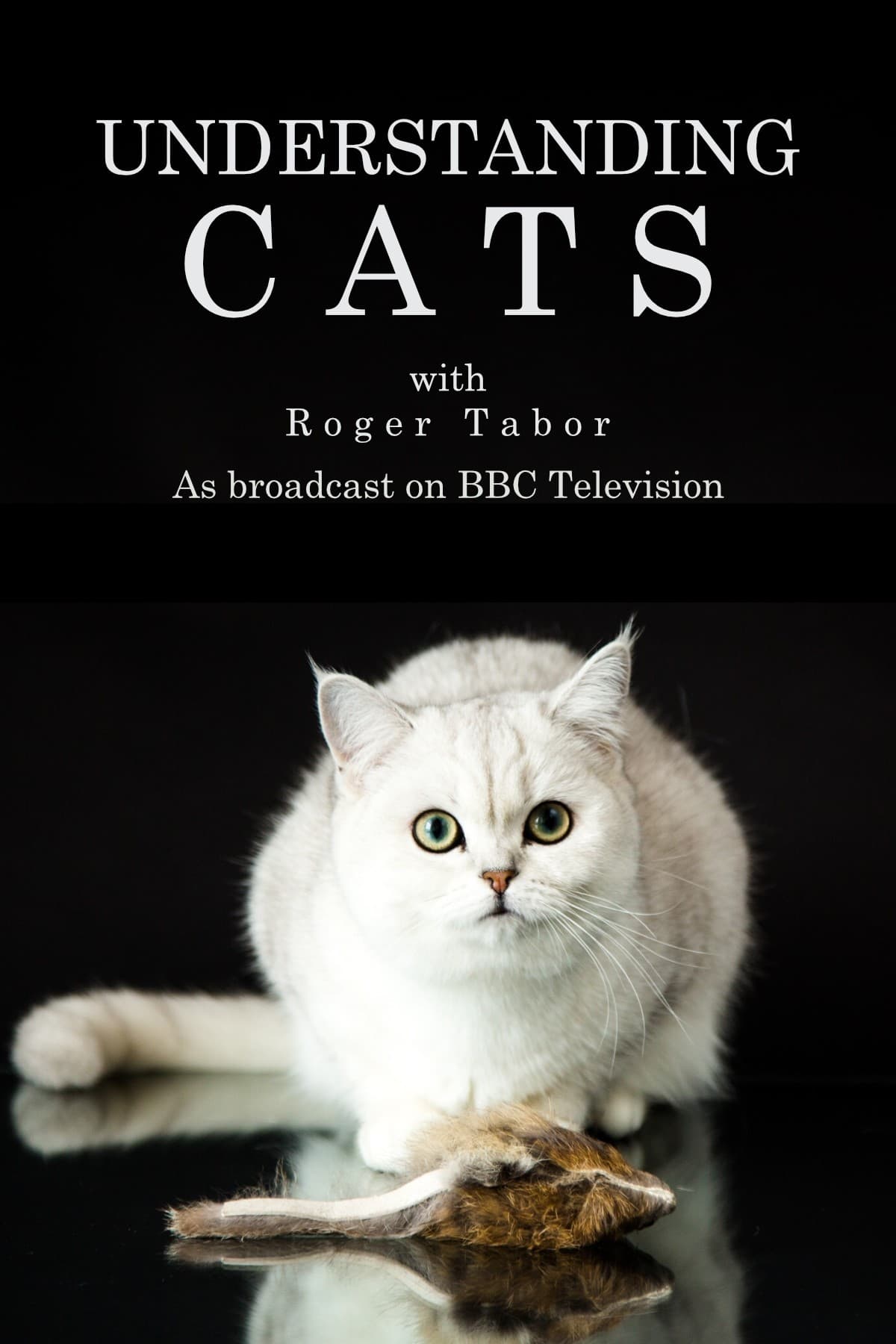 Understanding Cats Web Series Streaming Online Watch
