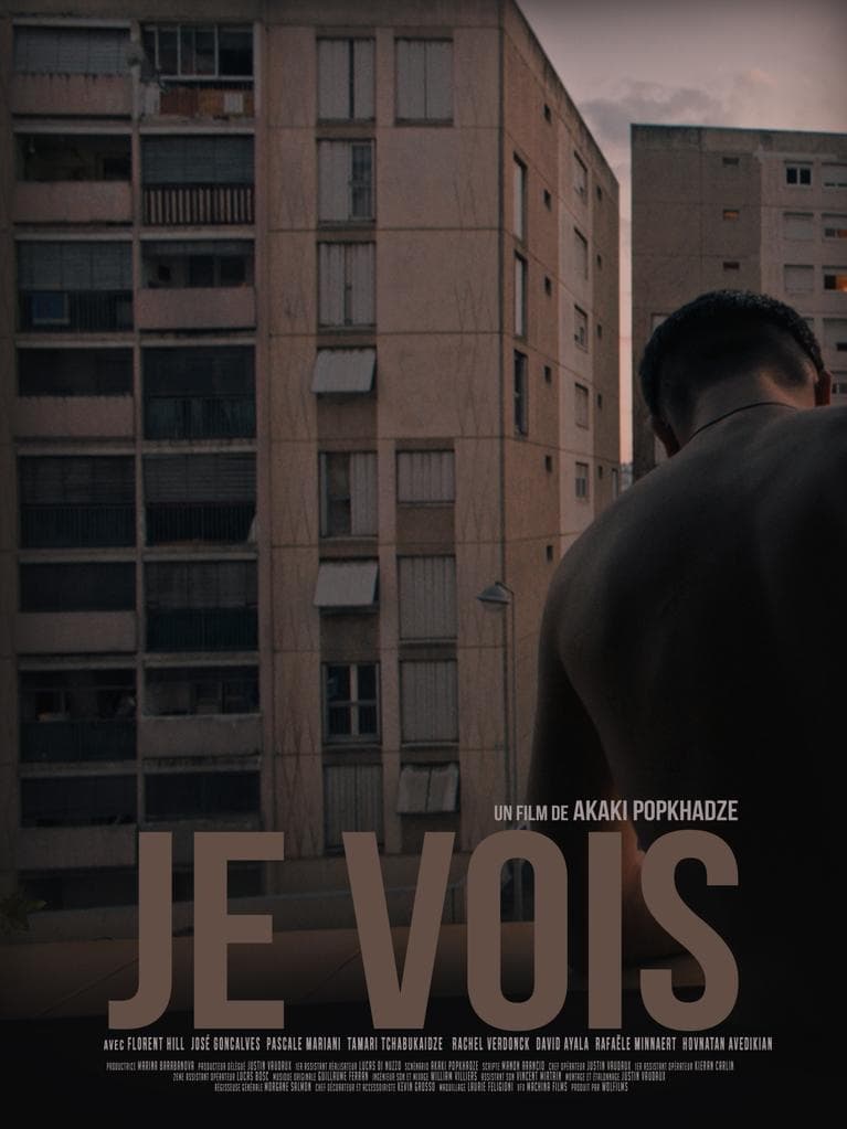 Je Vois French Movie Streaming Online Watch