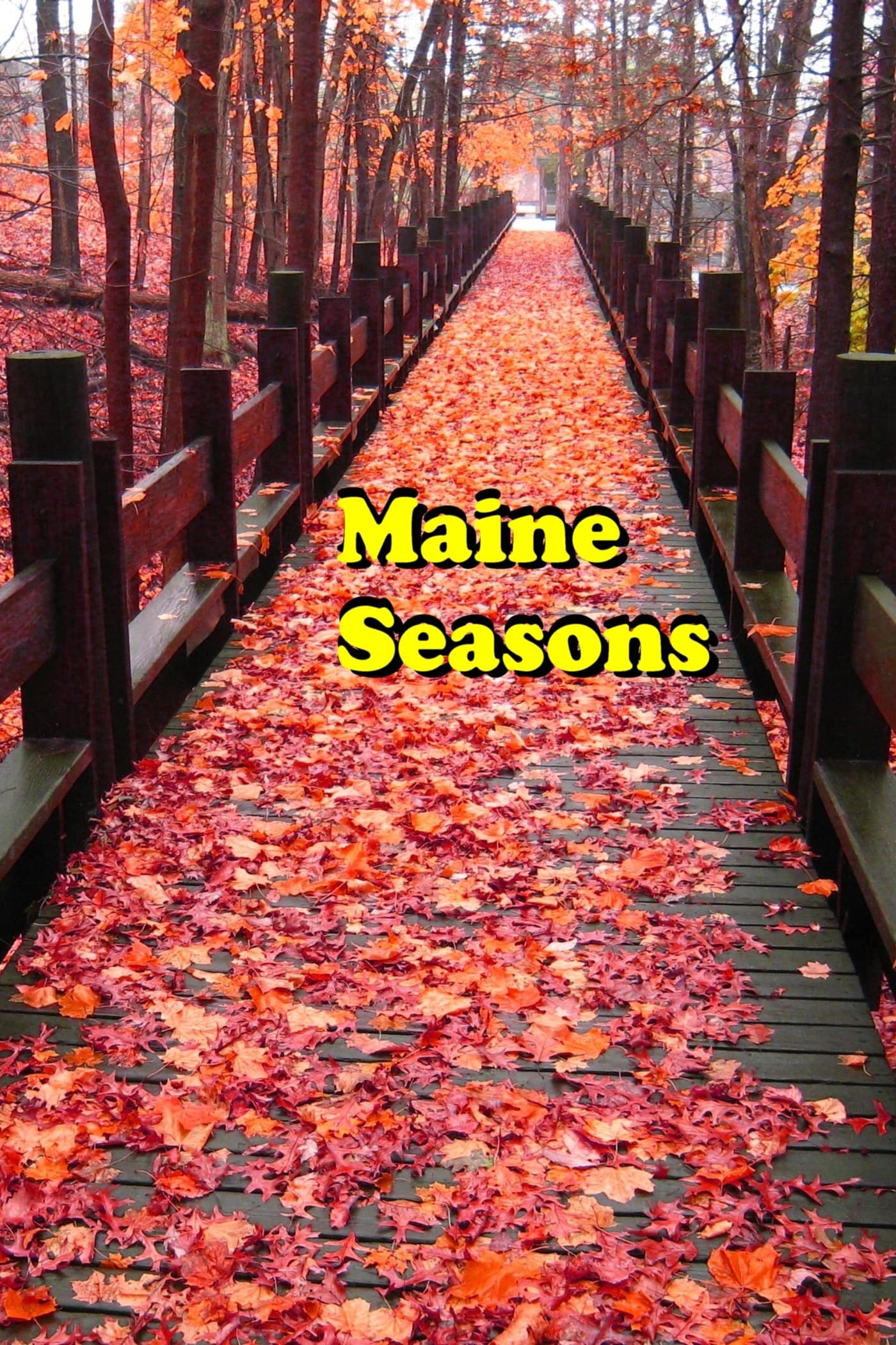 Maine Seasons Movie Streaming Online Watch