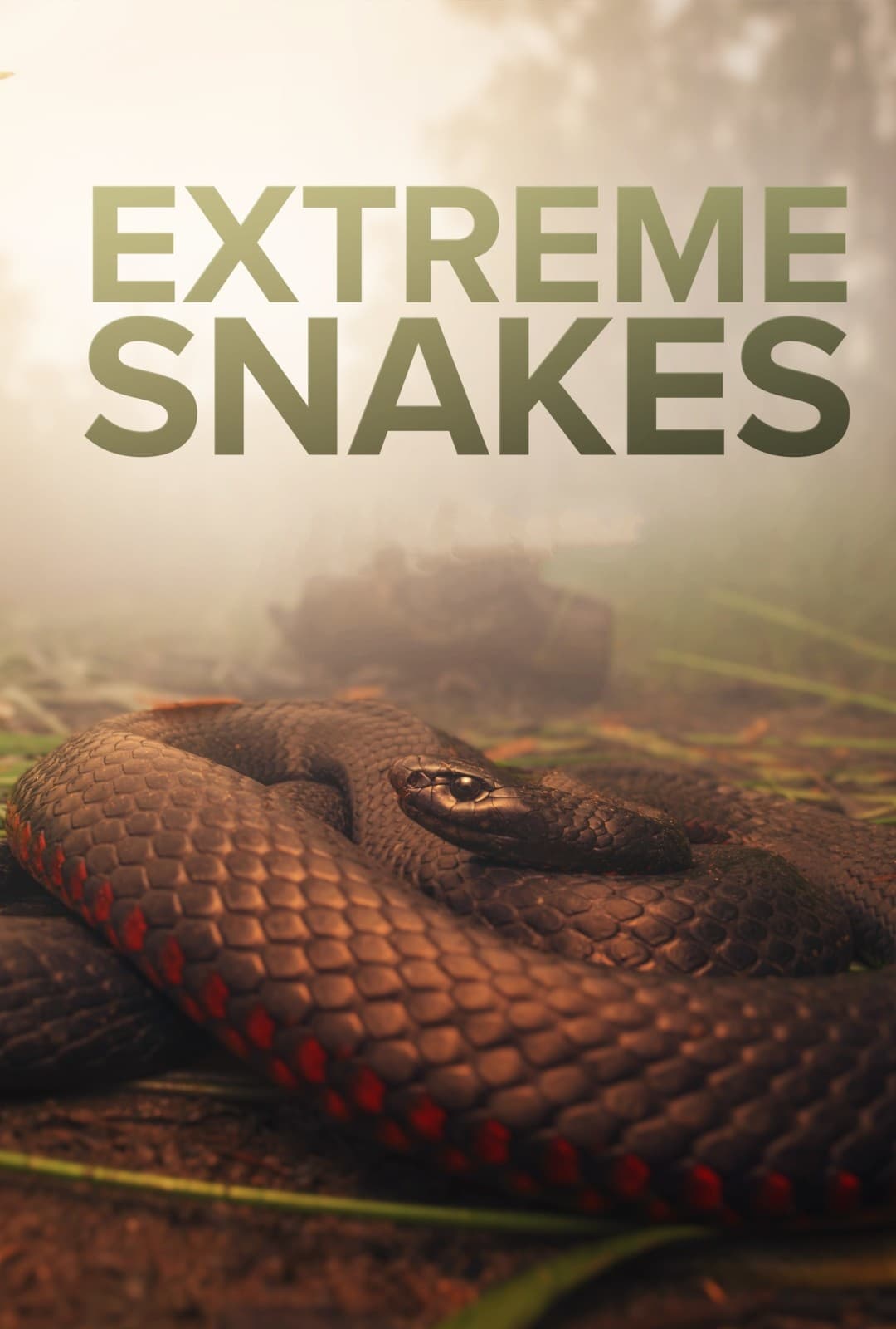 Extreme Snakes Web Series Streaming Online Watch