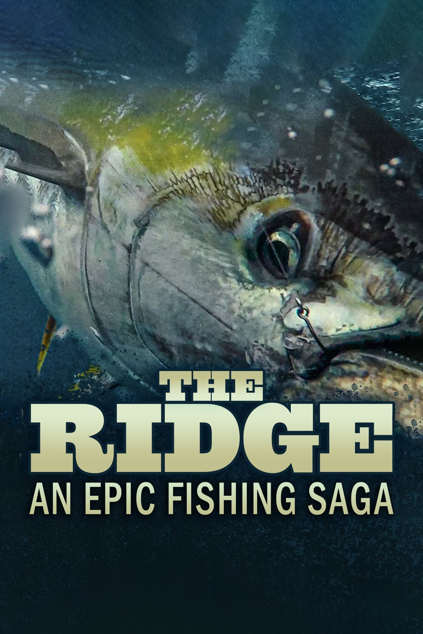 The Ridge: An Epic Fishing Saga Movie Streaming Online Watch