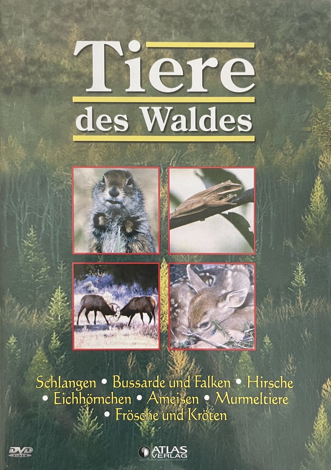 Tiere des Waldes German Movie Streaming Online Watch