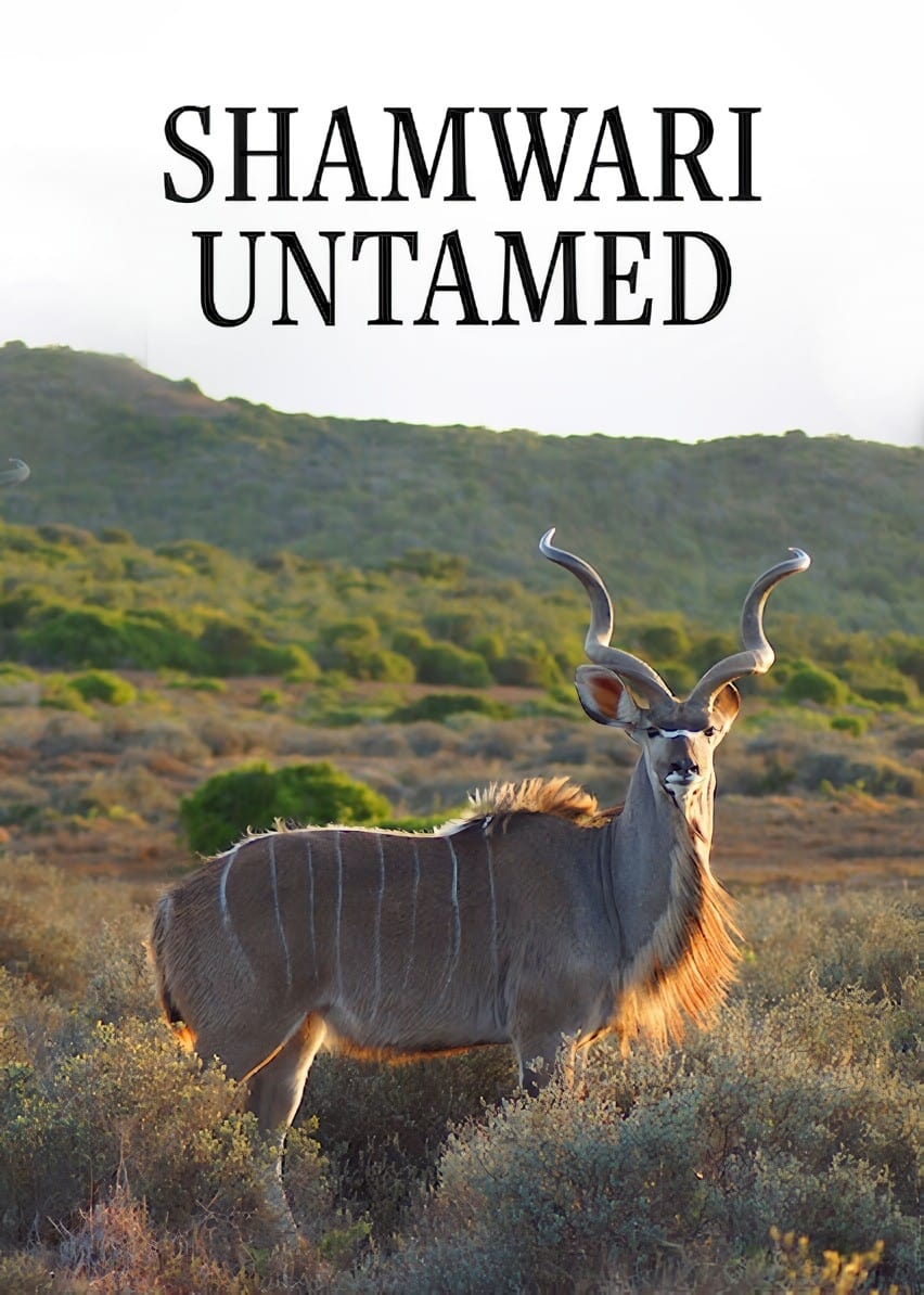 Shamwari Untamed Web Series Streaming Online Watch