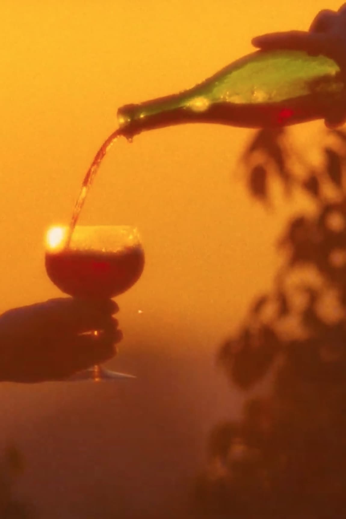 An Illusion of Cohesion Movie Streaming Online Watch