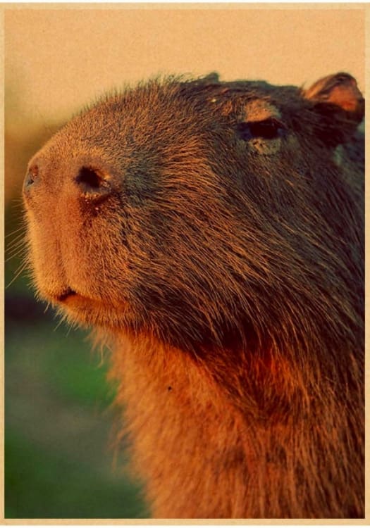 Capybara Walking Movie Streaming Online Watch