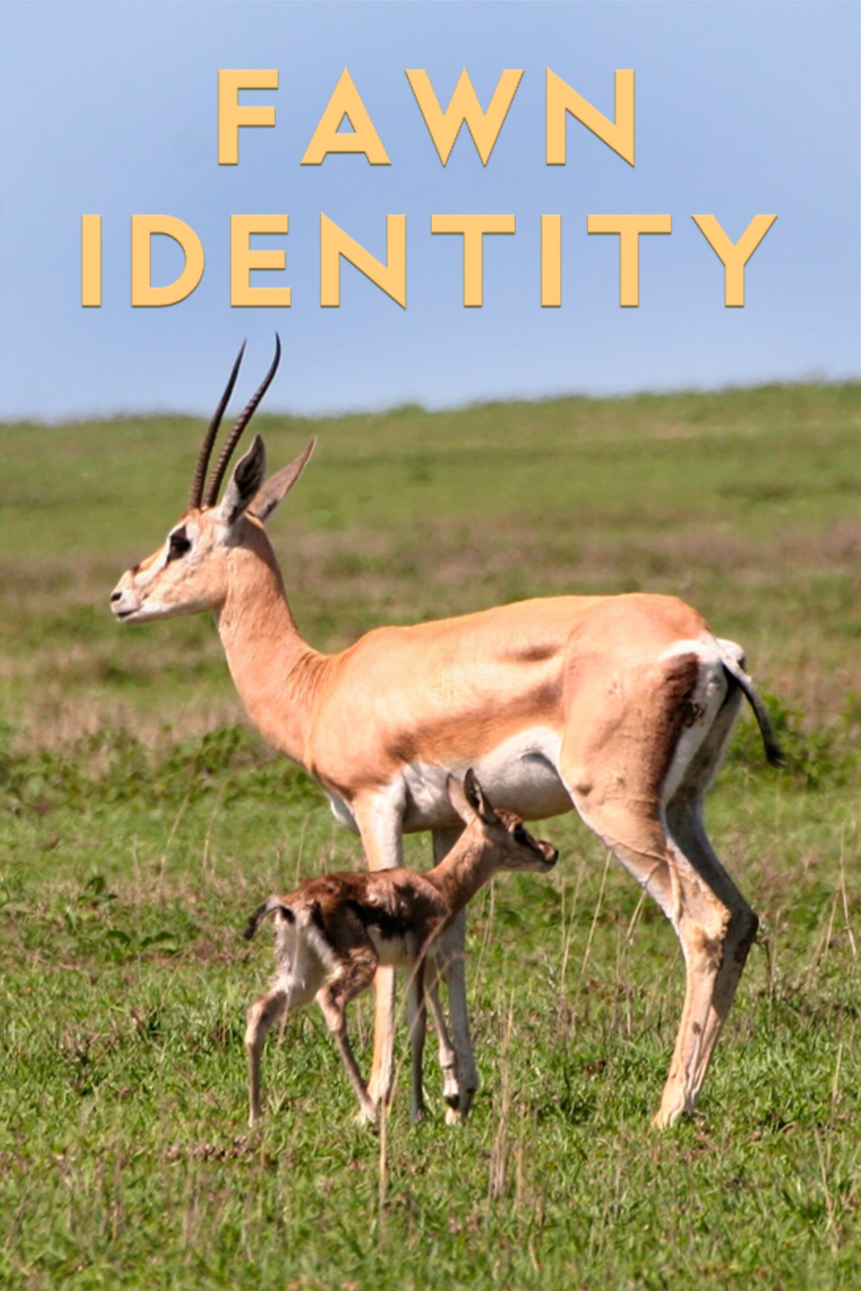 Fawn Identity Movie Streaming Online Watch