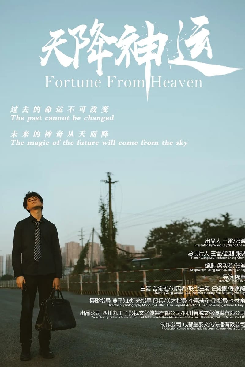 Fortune From Heaven Mandarin Movie Streaming Online Watch
