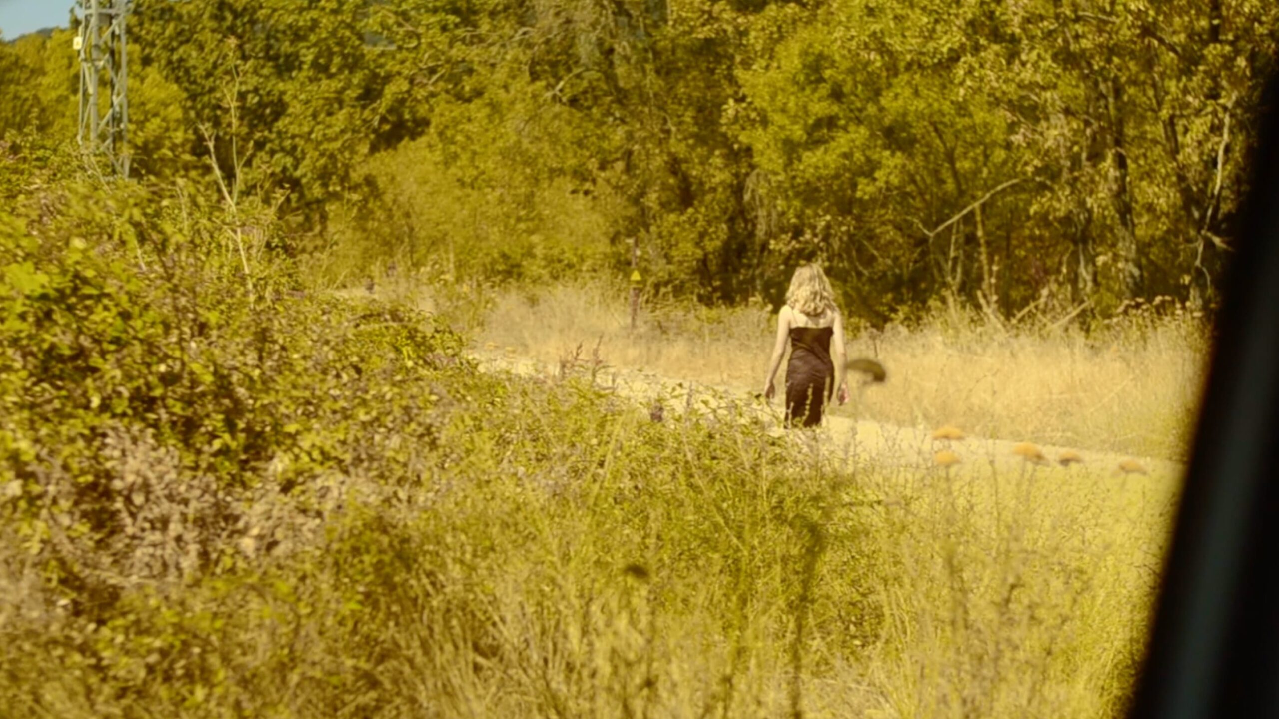 Lady Governess Movie Streaming Online Watch