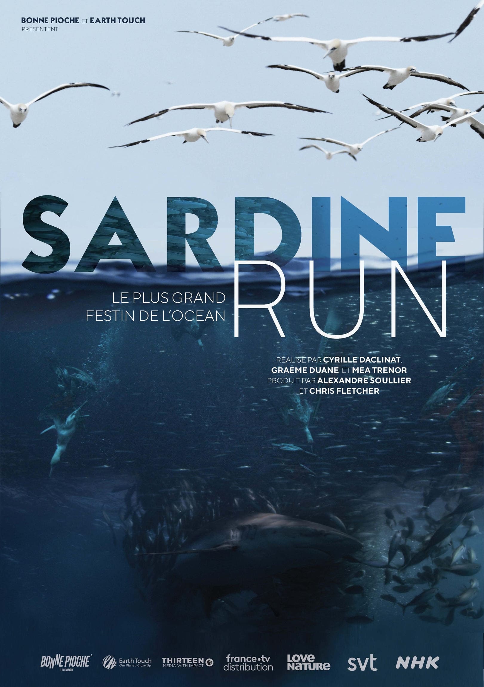 Sardine run, le plus grand festin de l'océan French Movie Streaming ...