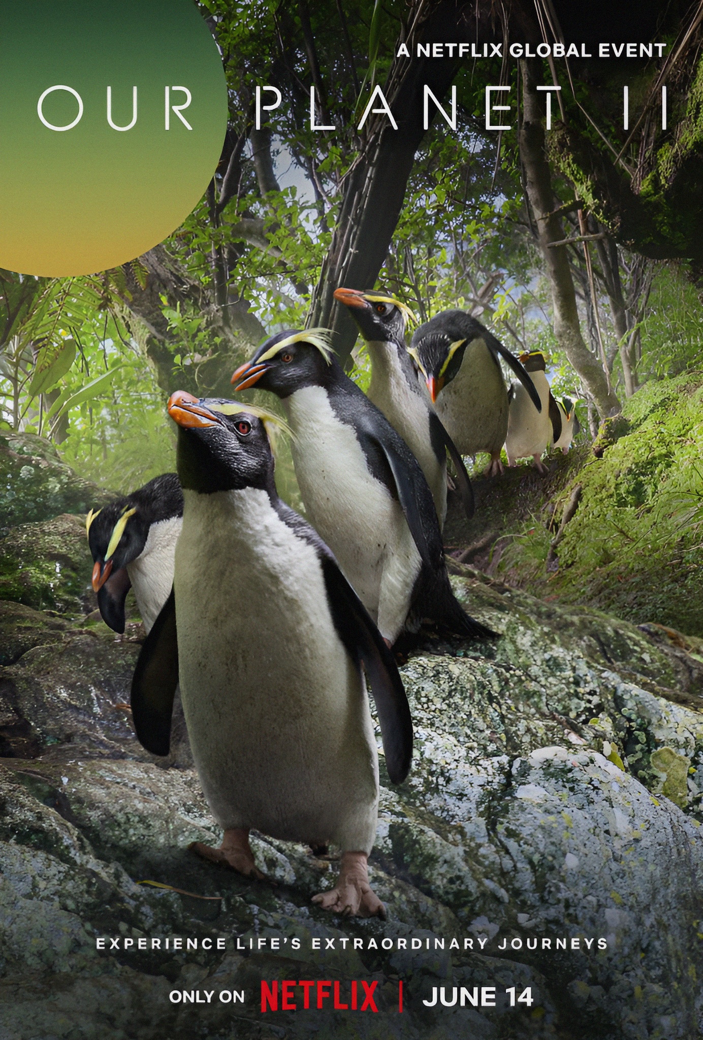 Our Planet Season 2 German, Hindi, Russian, Spanish Web Series ...