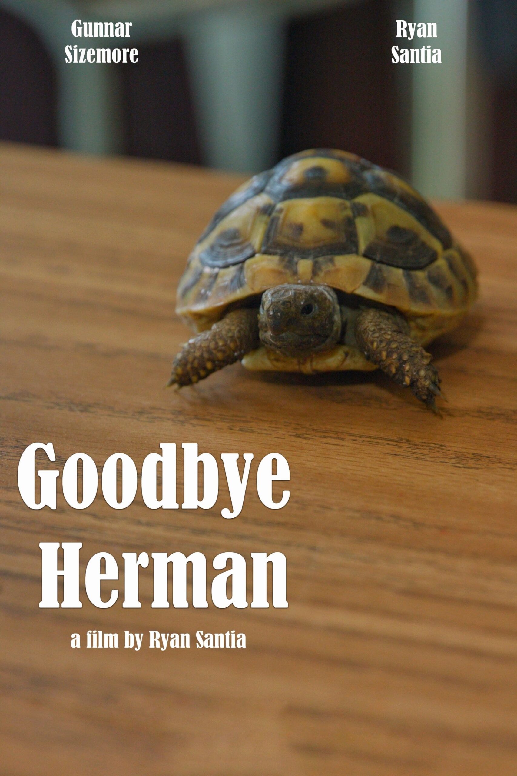Goodbye Herman Movie Streaming Online Watch