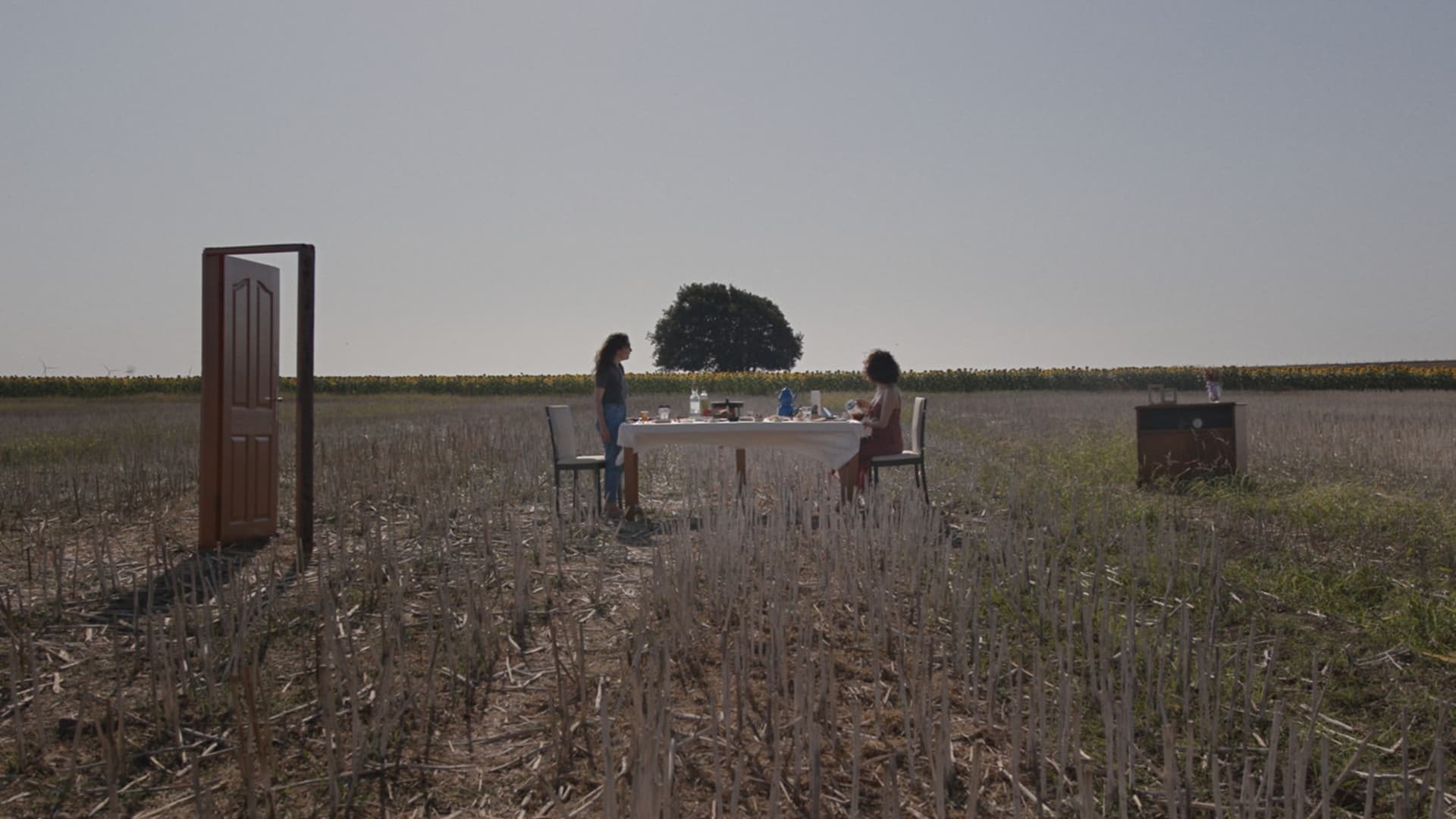 The Loop Turkish Movie Streaming Online Watch