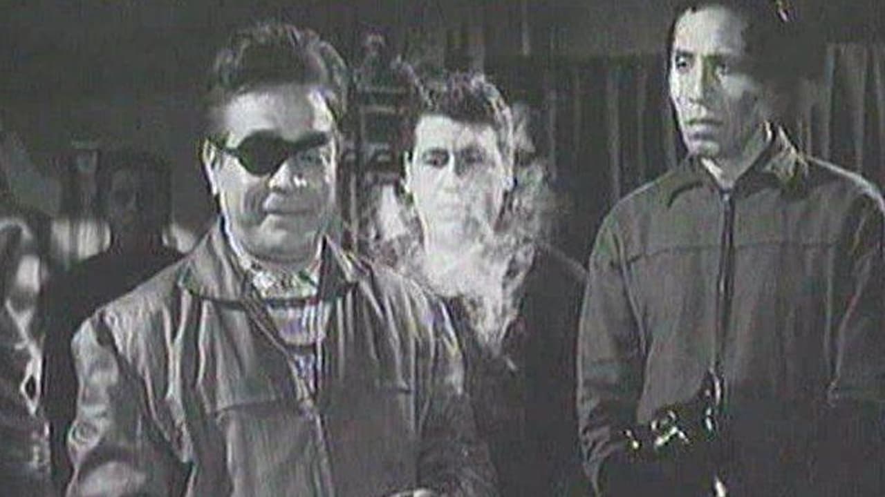 The Black Cat Web Series Streaming Online Watch