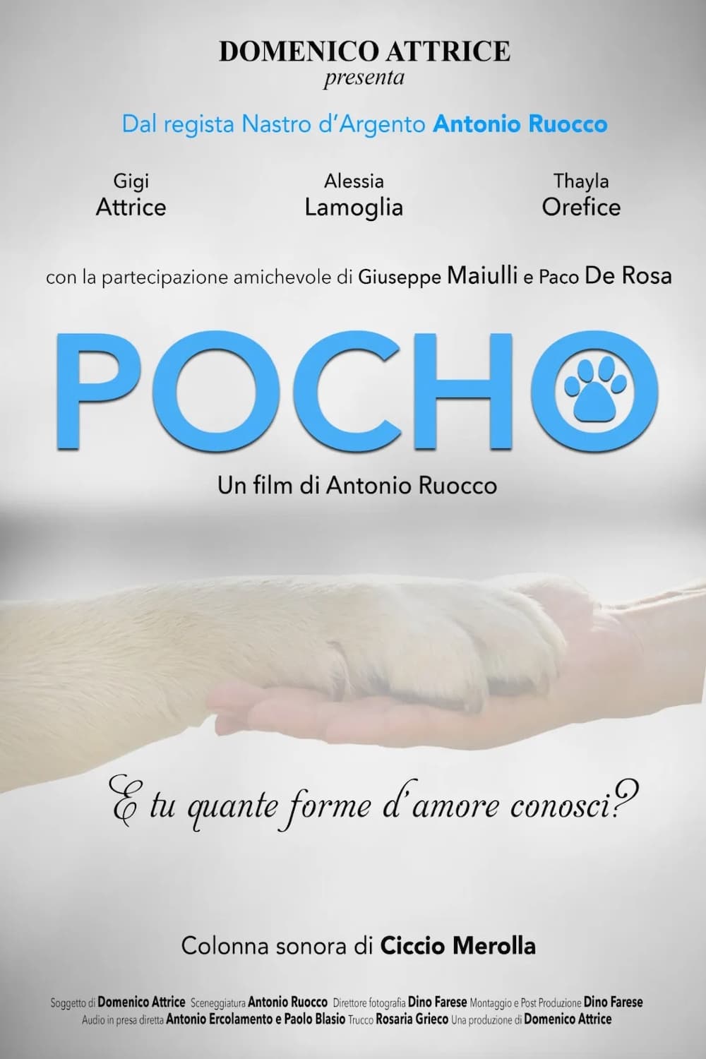 Pocho Italian Movie Streaming Online Watch