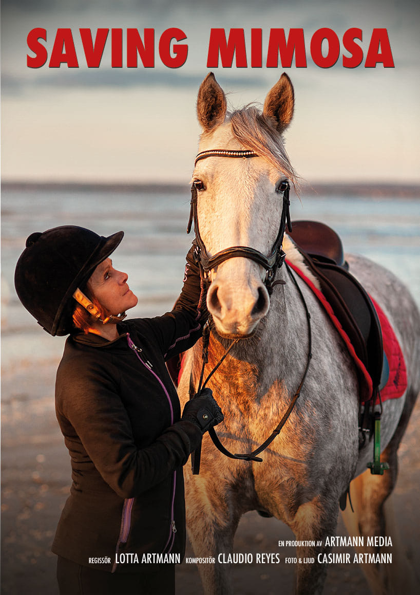 Saving Mimosa Swedish Movie Streaming Online Watch