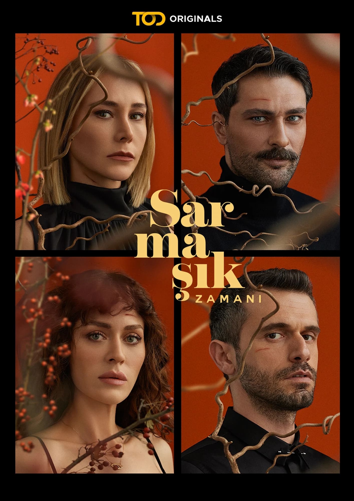 Sarmaşık Zamanı Turkish Web Series Streaming Online Watch