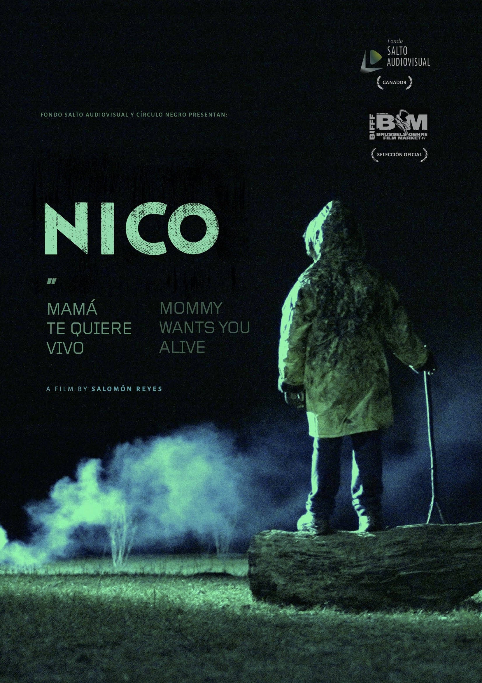 Nico Spanish Movie Streaming Online Watch