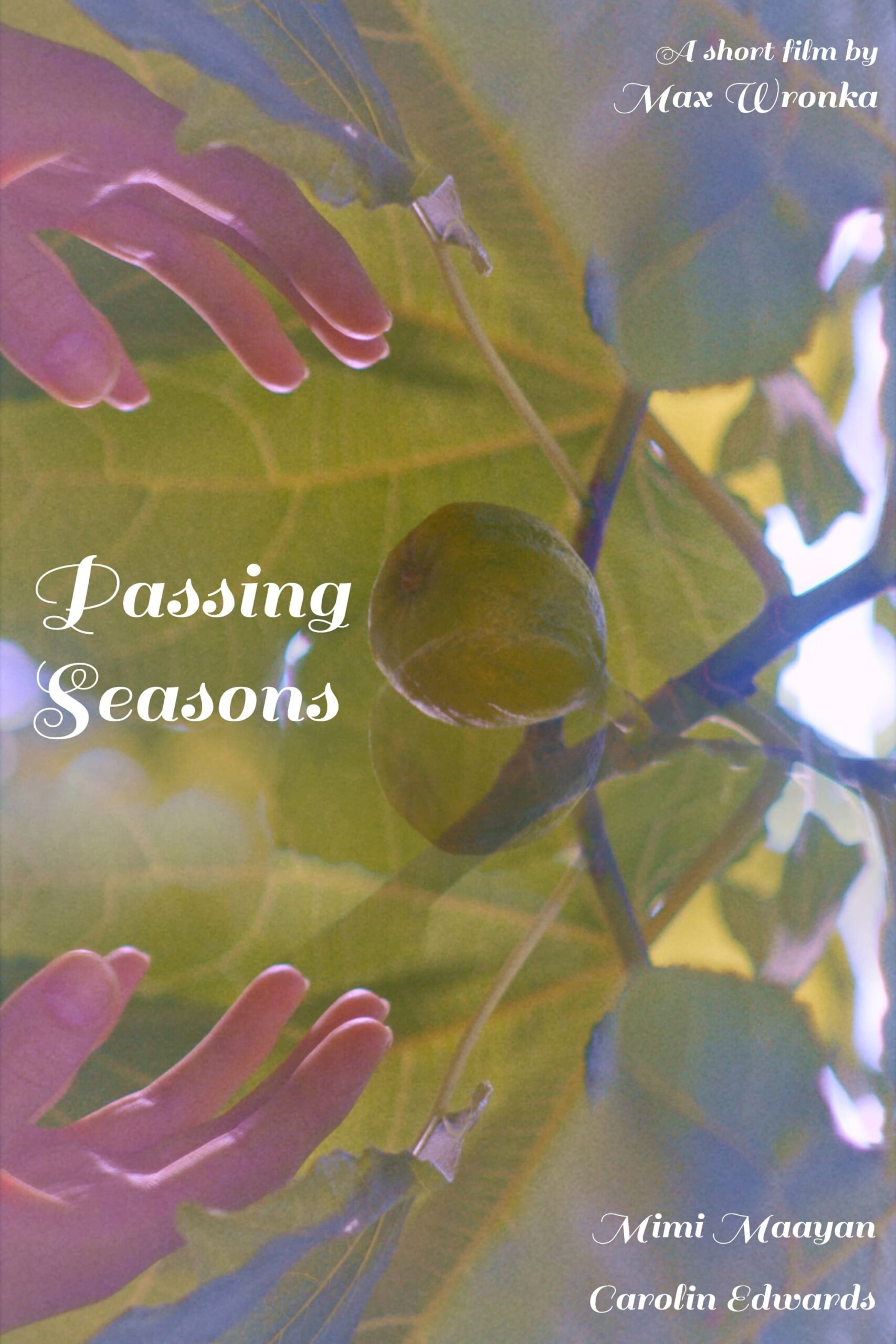 Passing Seasons Movie Streaming Online Watch
