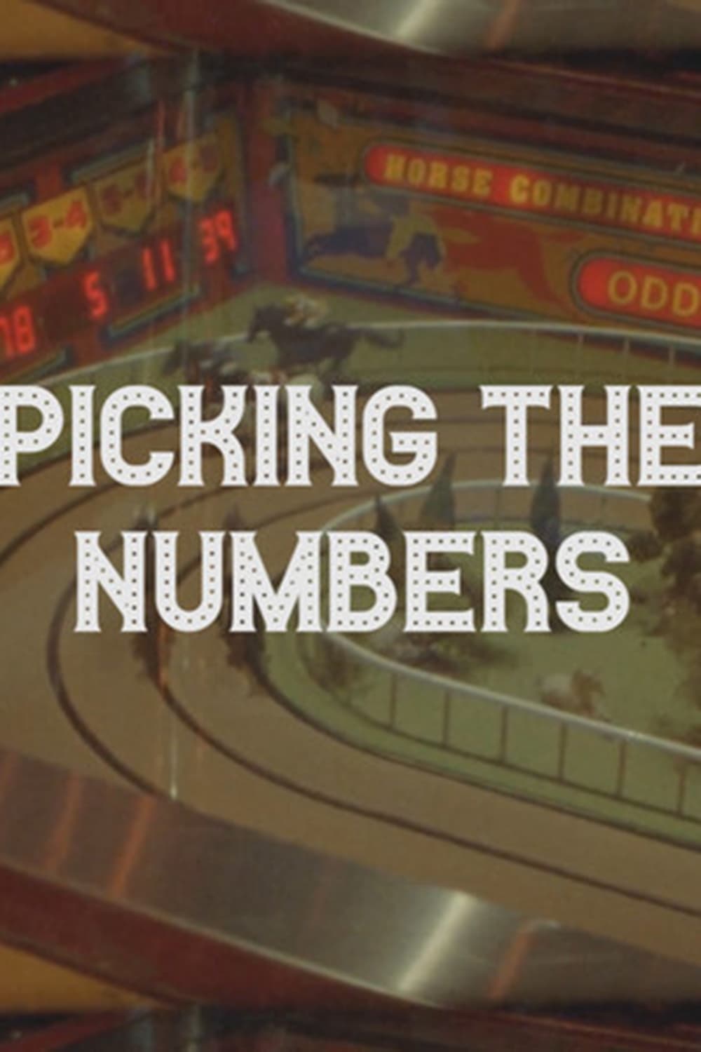 Picking the Numbers Movie Streaming Online Watch