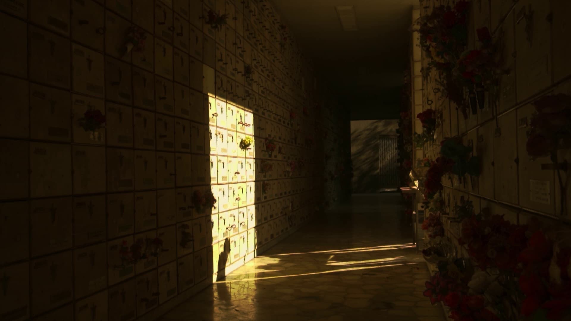 Sanctuary Spanish Movie Streaming Online Watch