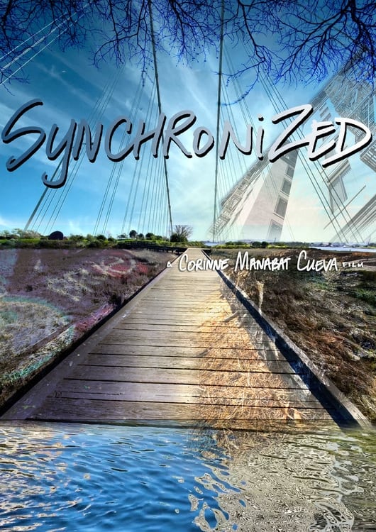 Synchronized Movie Streaming Online Watch