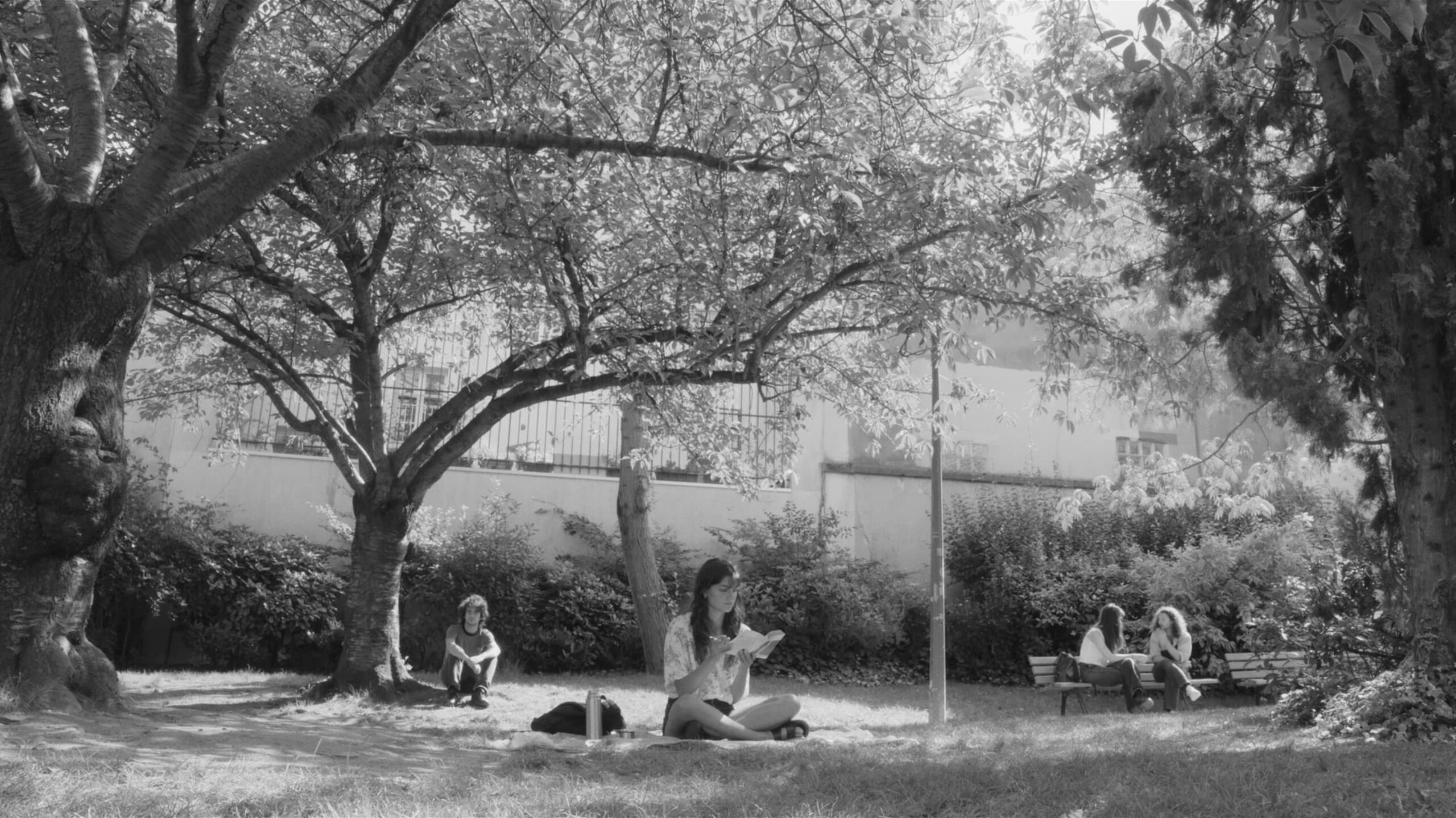 La Distraction French Movie Streaming Online Watch