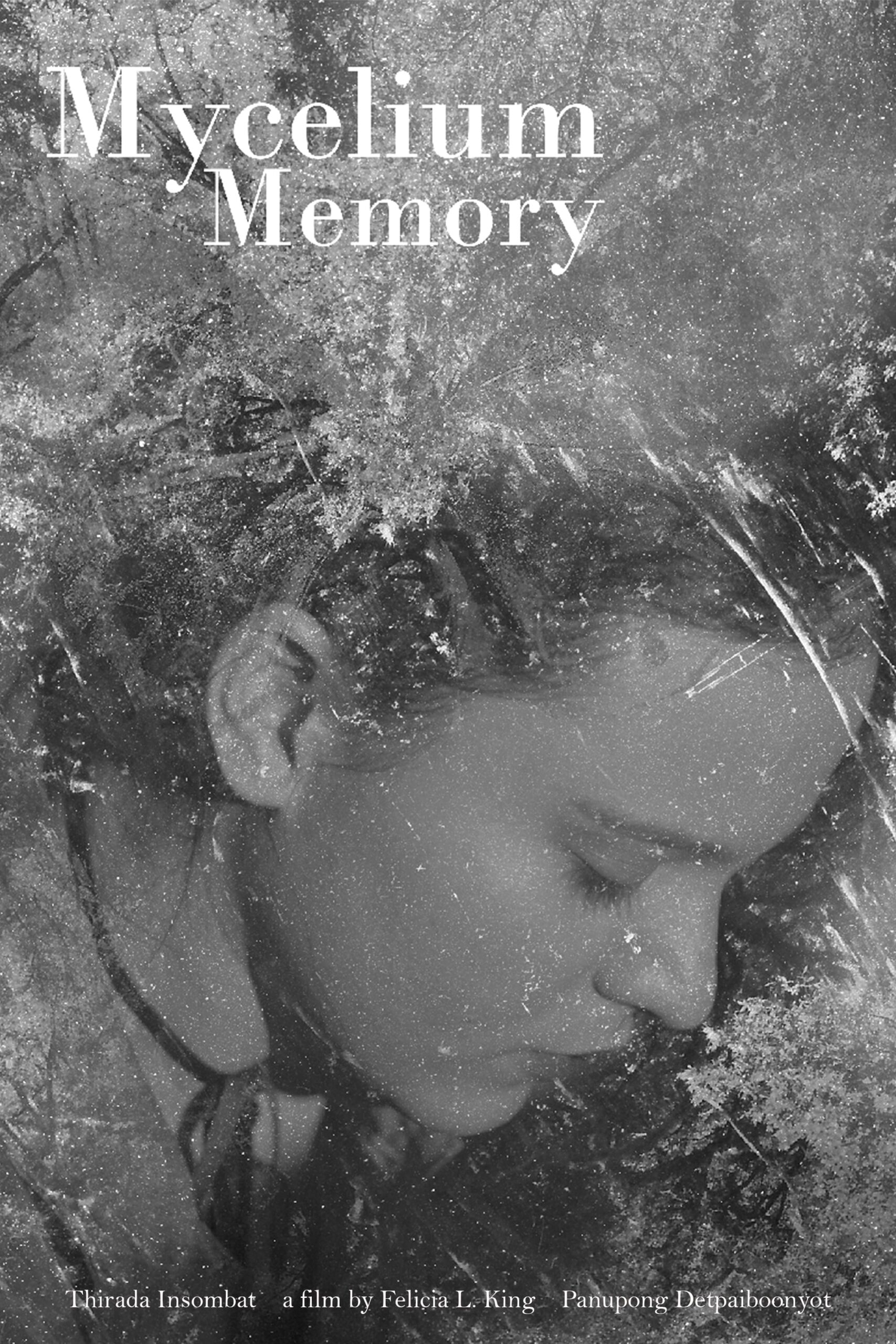 Mycelium Memory Thai Movie Streaming Online Watch